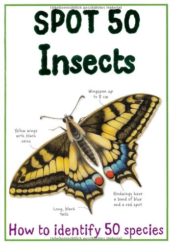 Spot 50 - Insects: bedoyere-camilla-de-la: 9781848102507: Amazon.com: Books