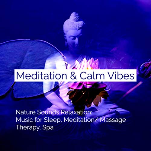 Meditation & Calm Vibes by Nature Sounds Relaxation: Music for Sleep ...