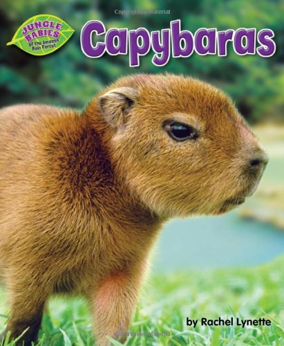 Capybaras (Jungle Babies of the Amazon Rain Forest): Lynette, Rachel ...