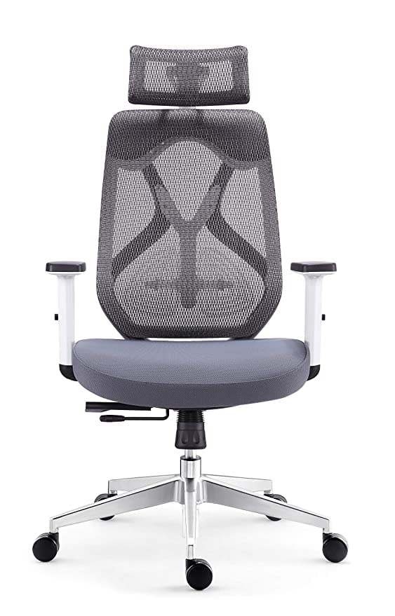 Naksh Seating Collection comfort High Back Executive Office Chair with Adjustable Lumber Support ...