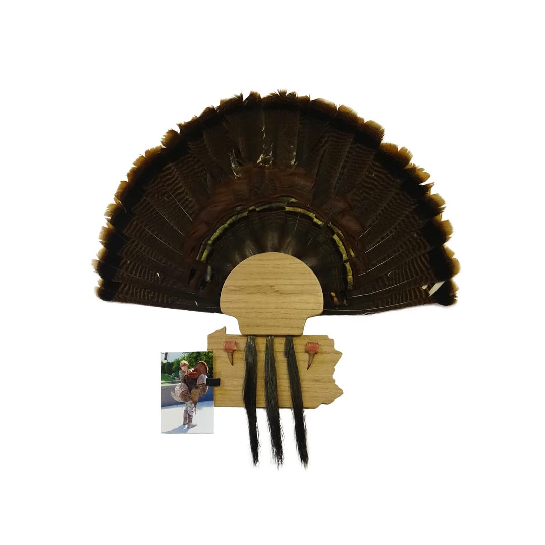 Snapklik.com : Esh Turkey Fan Mount Kit - Customized State Turkey Tail ...