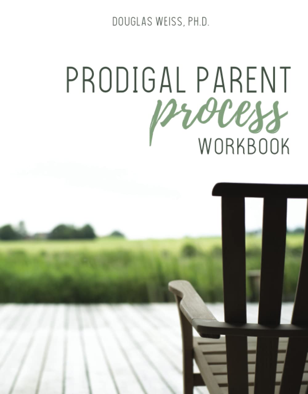 Prodigal Parent Process Workbook: Dr. Doug Weiss: 9781881292456: Amazon.com: Books