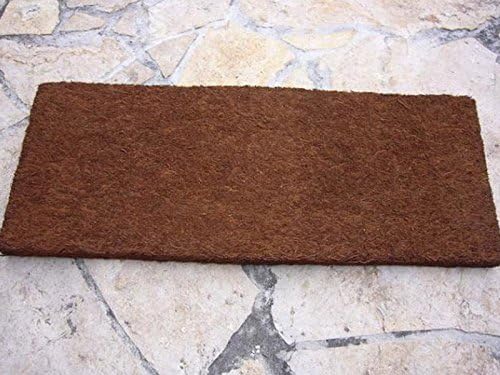 bensjungle Xaxim Tree Fern Plate Terrarium Rear Wall 50x20x1,5 cm (Soft ...