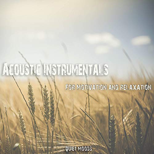 Play Acoustic Instrumentals (For Motivation and Relaxation) by VARIOUS ...