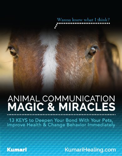 Animal Communication Magic & Miracles: 13 Keys to Deepen Your Bond with ...