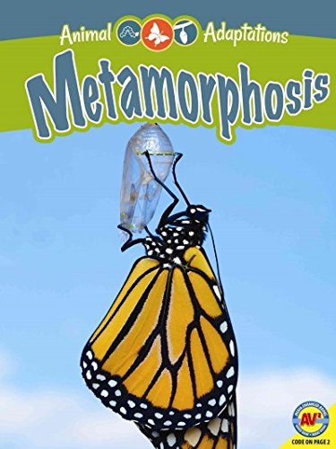 Metamorphosis (Animal Adaptations): Kopp, Megan: 9781489613752: Amazon ...