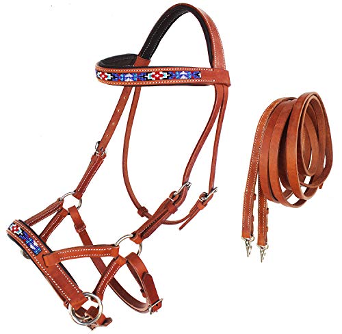 Westernzaumzeug – Die 16 besten Produkte im Vergleich ...