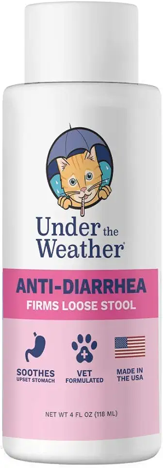 Cat Anus Inflammation And Diarrhea: What You Need To Know | PetShun