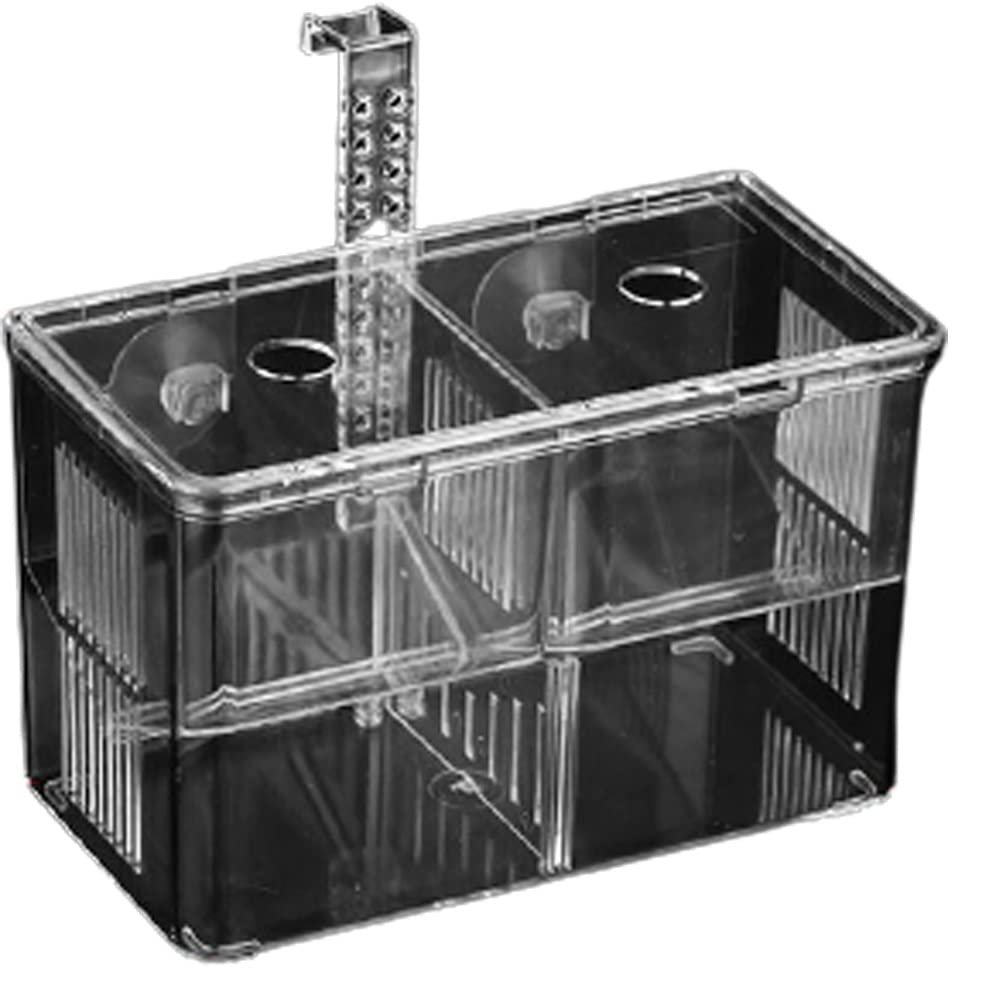 Buy Fish Breeding Incubation Box Tank, Extra Large Double-layer ...