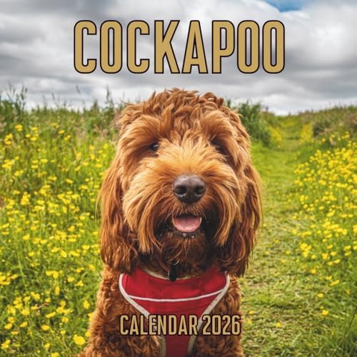 Cockapoo Calendar 2026: 14-Month Organizer from Nov 2025 to Dec 2026 ...
