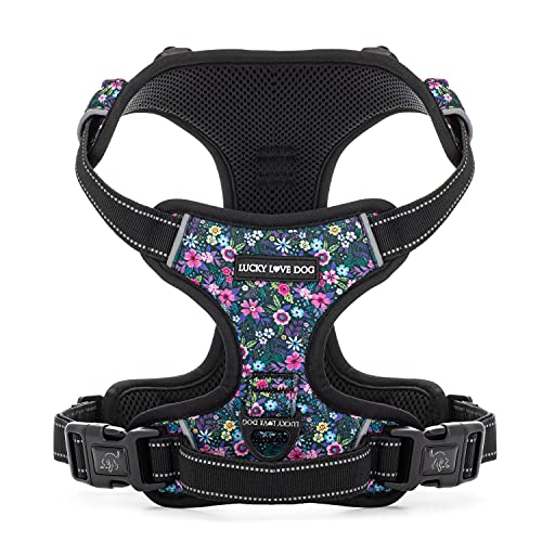 Easy Walker Harness – The 15 best products compared - Wild Explained