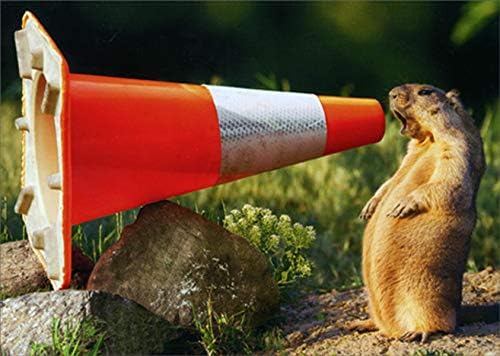 Amazon.com: Avanti Press Groundhog Yelling Into Construction Cone Funny ...