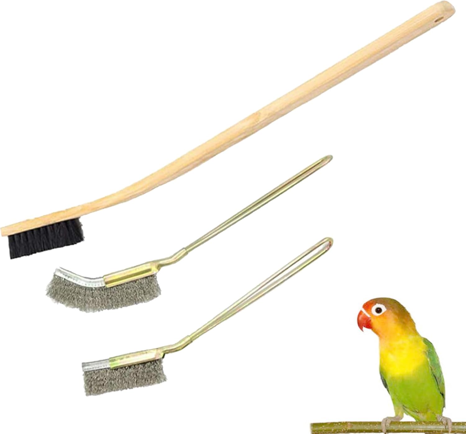 Amazon.com: QBLEEV 3 Pack Bird Cage Brush, Wooden & Stainless Steel ...