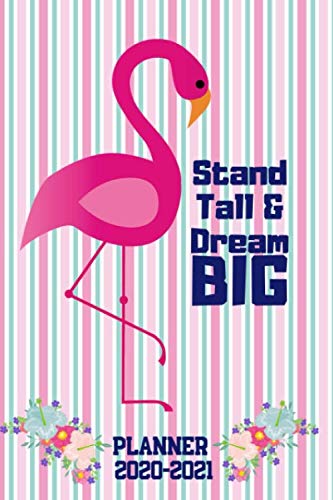Planner 2020-2021: Stand Tall & Dream BIG Flamingo 2 Year Daily Weekly ...