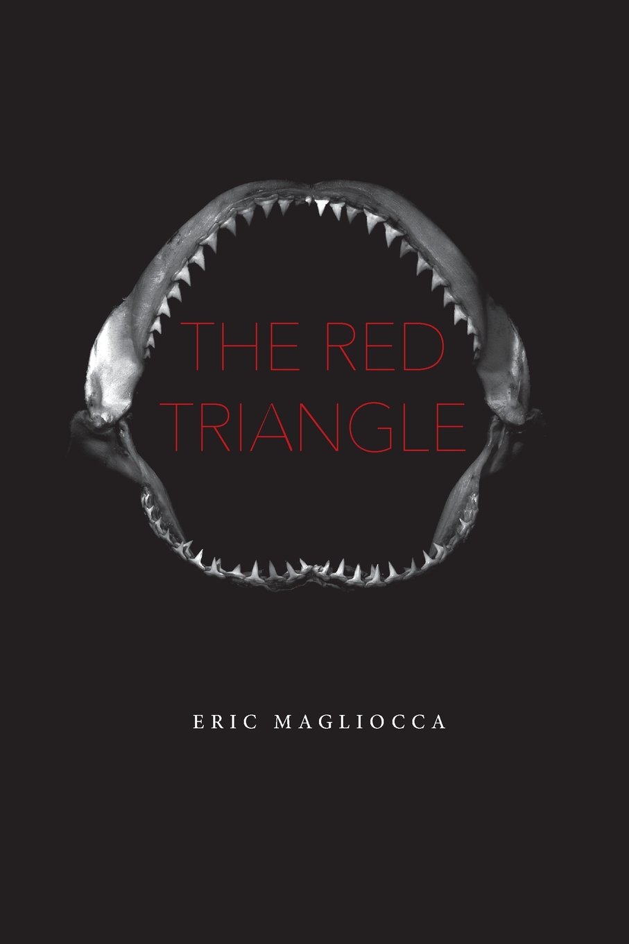 The Red Triangle: Magliocca, Eric: 9780692029176: Amazon.com: Books