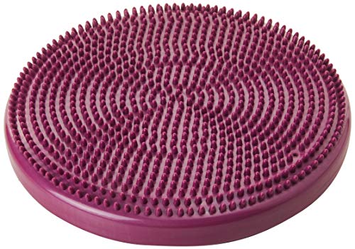 FitPAWS Balance Disc for Dogs 14 Inches Violet. | Amazon price tracker ...