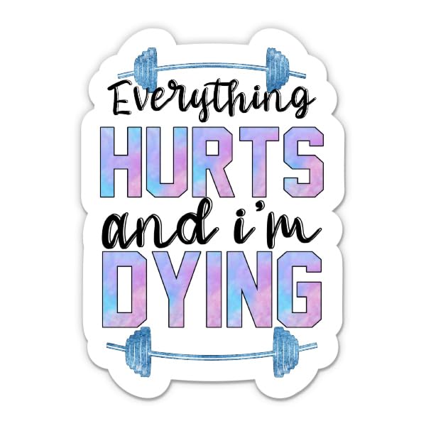 Amazon.com - Everything Hurts and I'm Dying Sticker - 3" Laptop Sticker ...