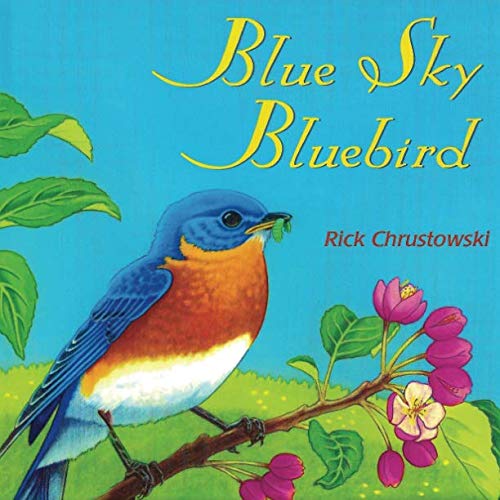 Blue Sky Bluebird: Chrustowski, Rick, Chrustowski, Rick: 9780991154401 ...