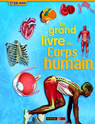 Grand livre du corps humain -le : N/A: Amazon.ca: Books