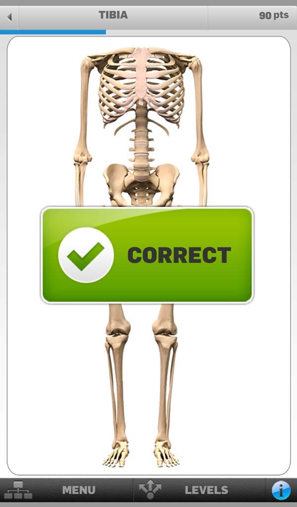 SKELETAL ANATOMY GAME LITE - App on Amazon Appstore