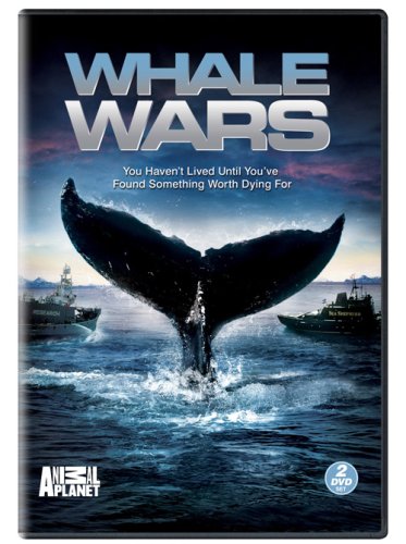 Amazon.com: Whale Wars: Season 1 : Paul F. Watson, Benjamin Potts, Kim ...