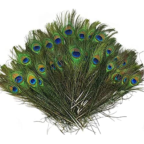 Pfauenfeder kaufen – Die 15 besten Produkte im Vergleich - Die besten ...