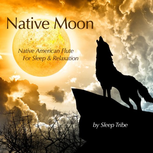 Solo Flute in the Midnight Meadow song by Sleep Tribe from Native Moon ...