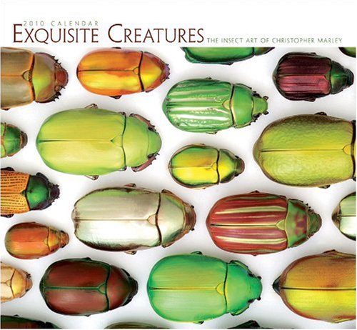 Exquisite Creatures 2010 Calendar: Marley, Christopher: 9780764947261 ...
