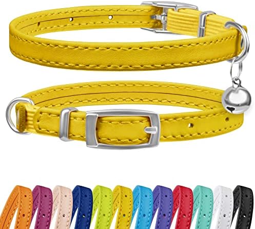 Pet Supplies : Red Dingo Designer Cat Collar, Cosmos Yellow : Pet ...