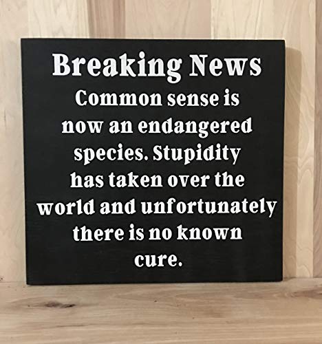 Amazon.com: Breaking News, Funny sign, wood sign, snarky signs, wooden ...