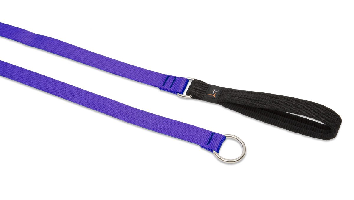Amazon.com : LupinePet Basics 1" Purple 6-foot Slip Lead/Leash for ...