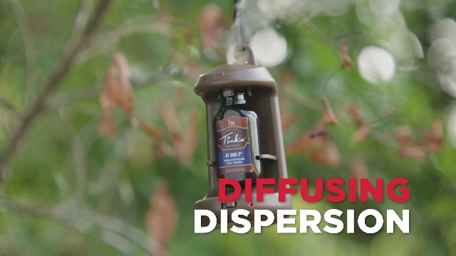 Watch Tinks Peefuser 1 on Amazon Live