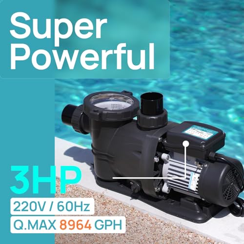 Vidapool 3 HP Pool Pump with timer,8964GPH,200V,2 Adapters,Powerful In ...