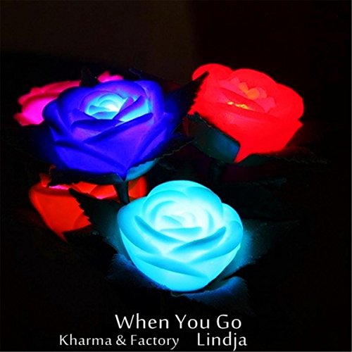 Play When You Go by Lindja on Amazon Music