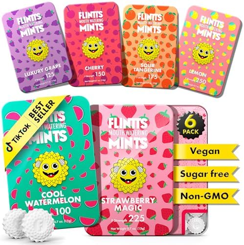 Amazon.com : Flintts Mints Fruit Troop – Sugar Free Mouthwatering Mints ...