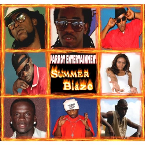 Amazon Music - VARIOUS ARTISTSのSummer Blaze - Amazon.co.jp