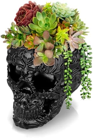 Amazon.com : Dolkgy Skull Wall Planter for Home Décor, Resin Skeleton ...