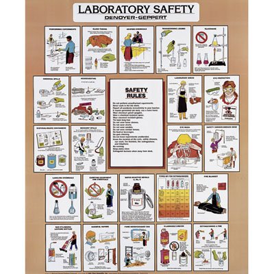 Laboratory Safety Chart: Amazon.com: Industrial & Scientific