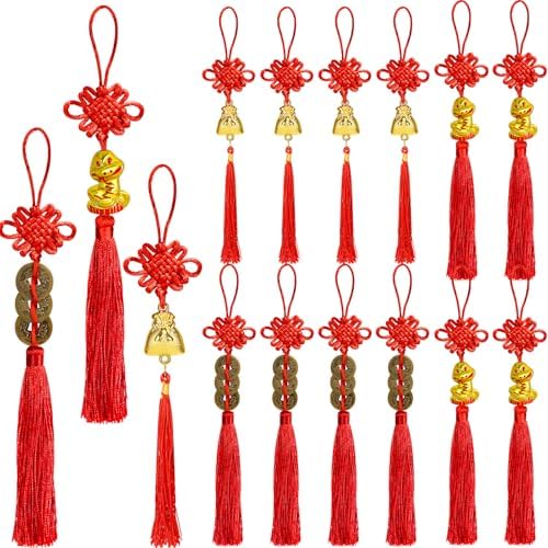 Amazon.com: 8 Strings Chinese New Year Lucky Coins Charms Chinese Feng ...