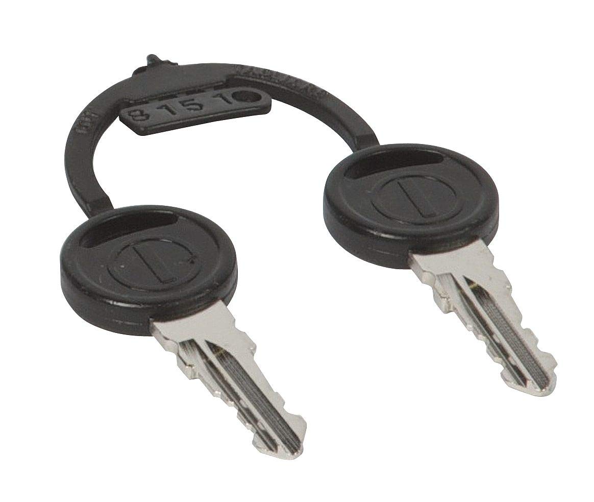 Amazon.com: Tennant Ignition Key, PK2-1017696 : Automotive