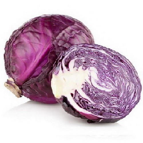 OL Seed Purple Cabbage Seeds - Pack of 50 Seeds : Amazon.in: Garden ...