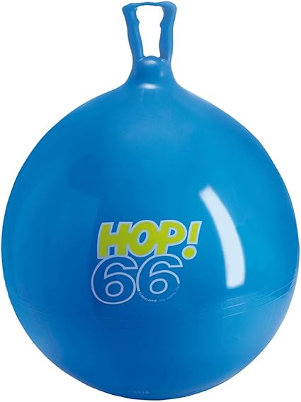 Amazon.com: Gymnic Hop 66 : Toys & Games