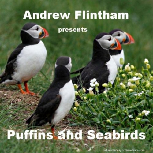 Amazon.com: Endangered Earth Vol 2 Seabirds and Puffins Andrew Flintham ...