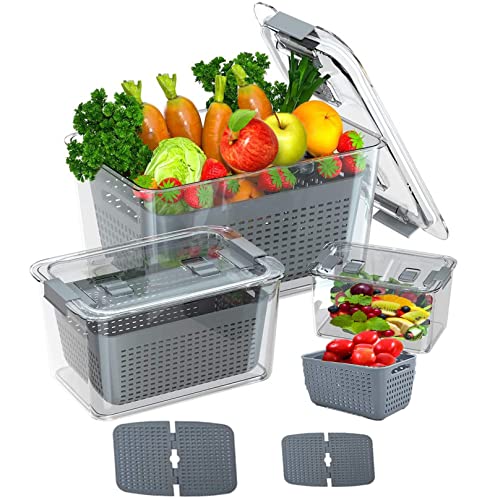 Top 10 Refrigerator Produce Storage Container of 2022 - Katynel