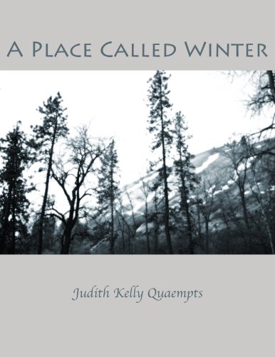 A Place Called Winter - Kindle edition by Quaempts, Judith Kelly ...