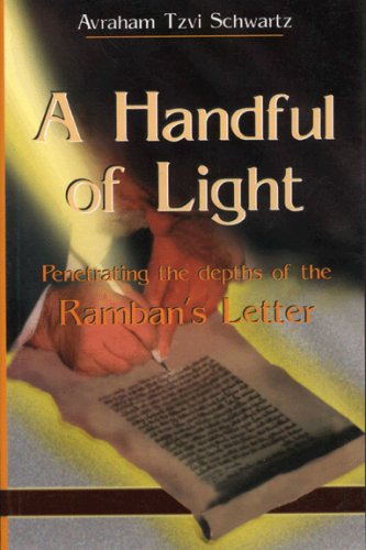 A Handful of Light: Avraham Tzvi Schwartz: Amazon.com: Books