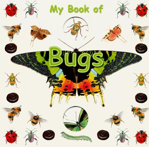 My Book of Bugs (Board Book): Valerie Davies: 9780545090537: Amazon.com ...