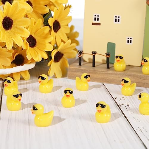 Heyu-Lotus 150 Pcs Mini Resin Ducks with Sunglasses,Yellow Realistic ...