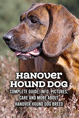 What Is The Breed Of Hanover Hound