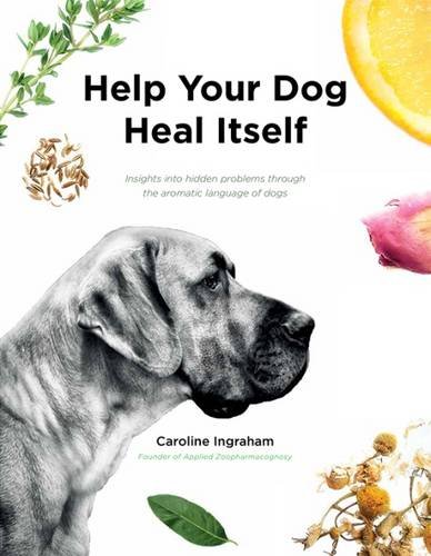Help Your Dog Heal Itself: Insights into Hidden Problems Through the ...